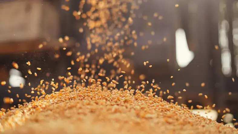 Wingreens farms targets accelerated growth with safe harvest ...