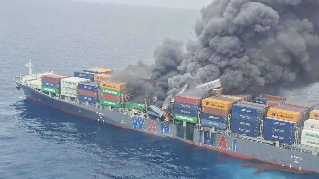 Dg shipping report reveals systemic lapses behind msc elsa 3 disaster ...