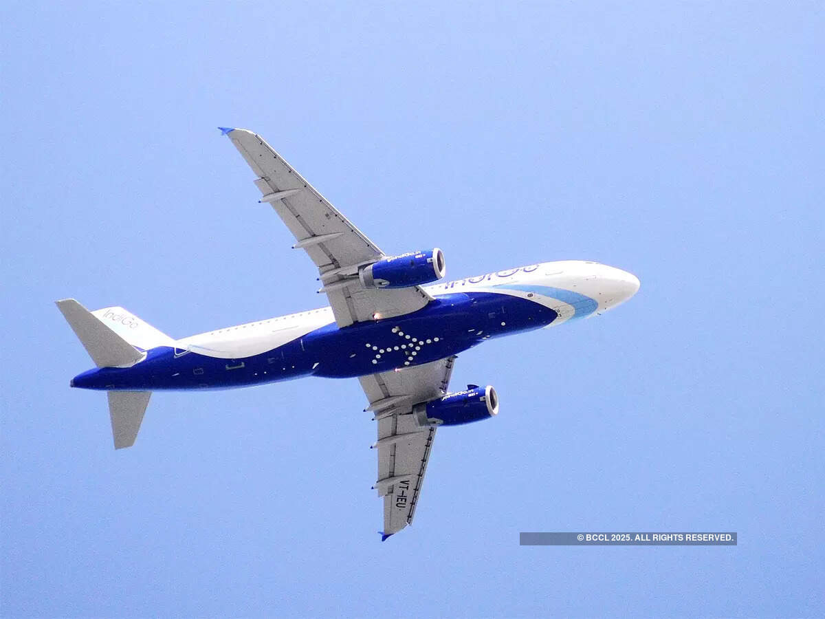 Indigo Plane Model