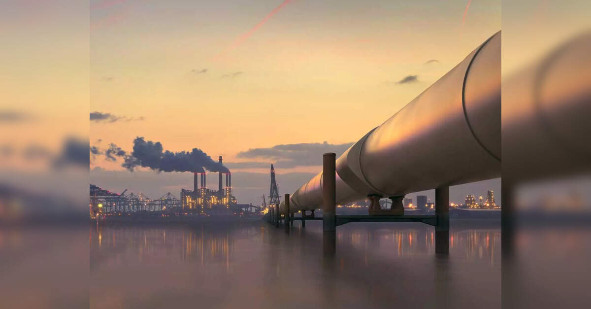 Govt planning performance review of CGD networks, gas pipelines ...