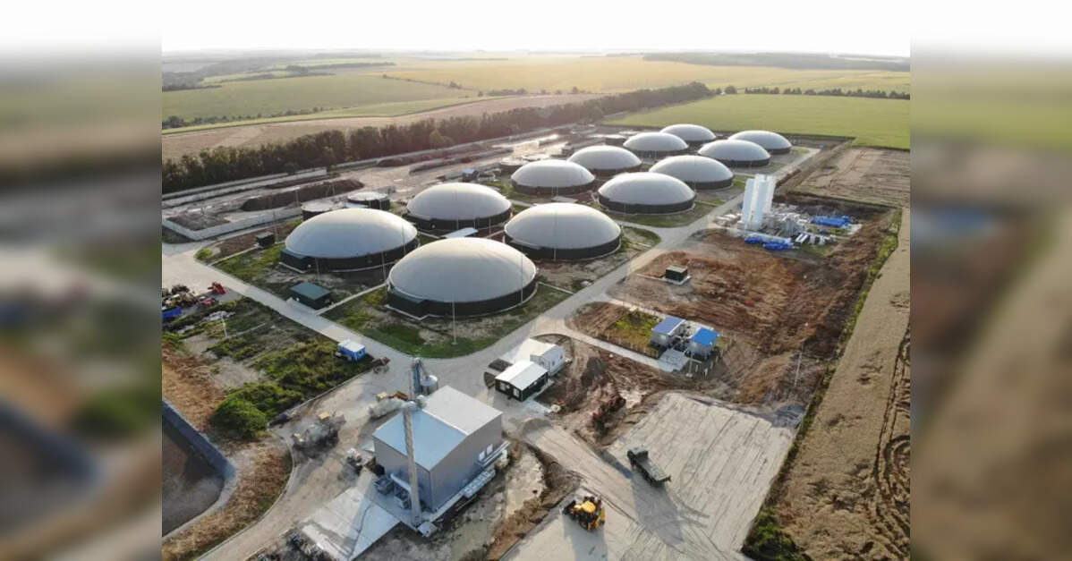 From fuel to fertilizer: IBA chief explains India's dual Advantage in ...