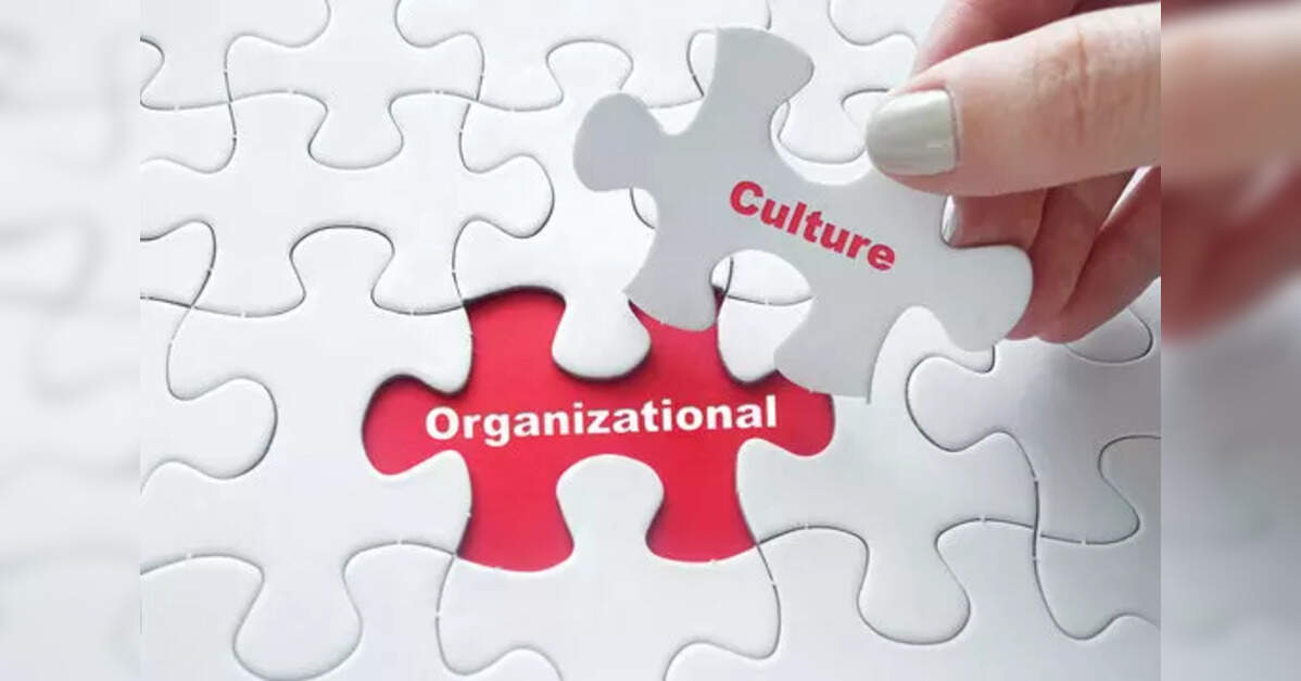 Organisational culture drives government employees' productivity ...