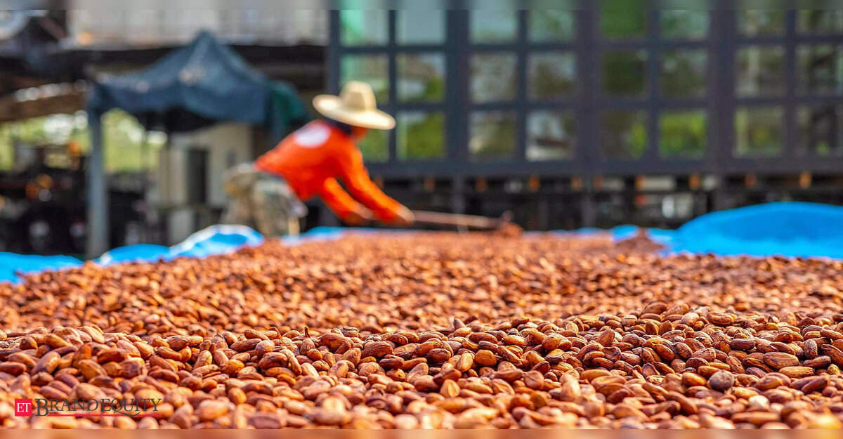 Brazil cocoa farms go high-tech to upgrade ailing market, ETBrandEquity