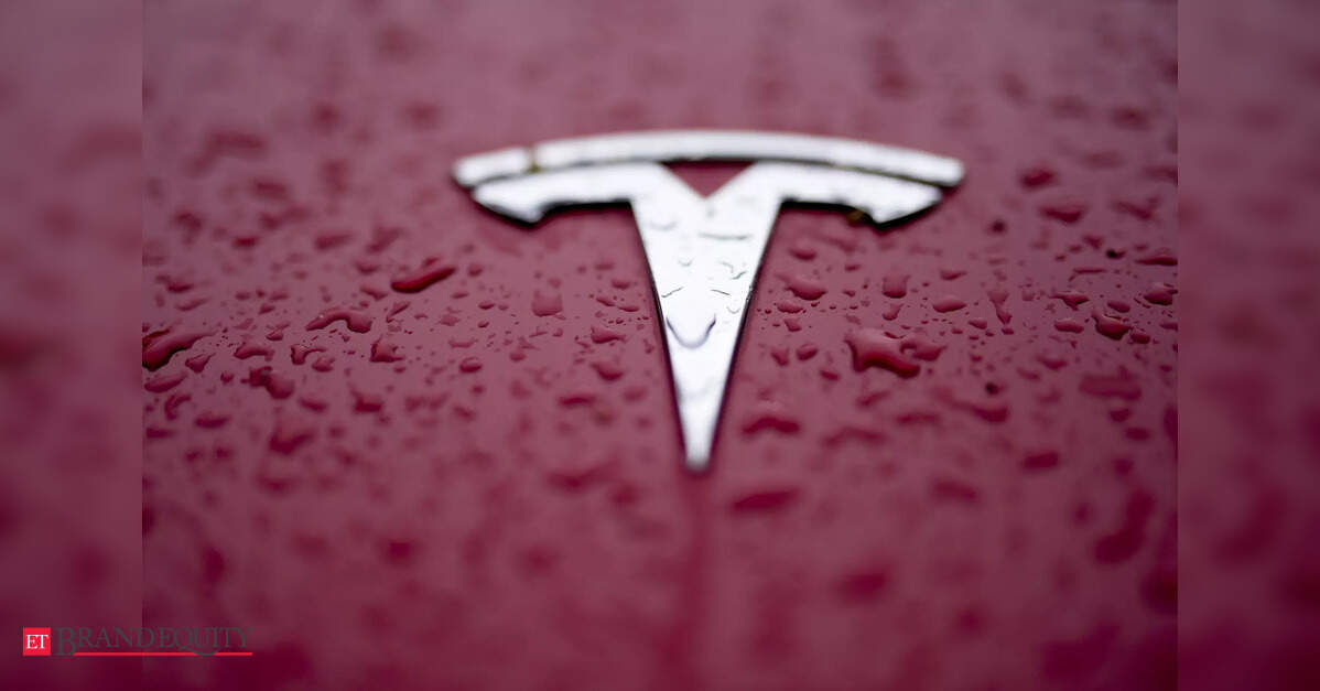 Electric Vehicles: Tesla cars for first time on Chinese govt purchase ...