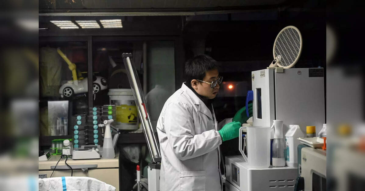 Chinese scientists claim to have reversed type 1 diabetes with stem ...