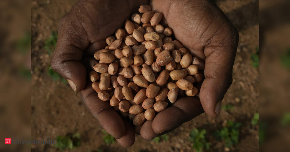 Government E-Marketplace: GeM introduces 170 new seed categories on its ...