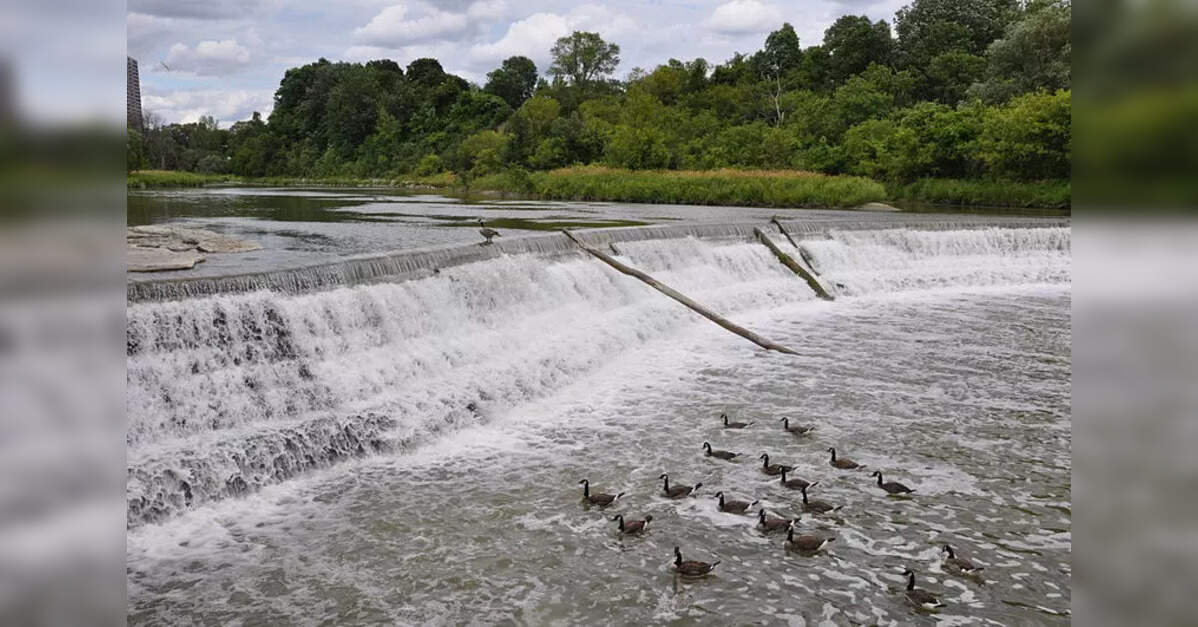 Indore Flood Management: Indore to get Rs 200 crore boost for flood ...