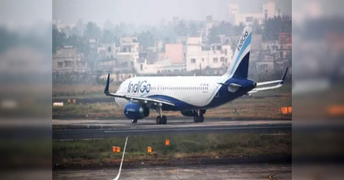 Airlines International Passenger Data: Airlines to share int'l passenger data with Customs from ...