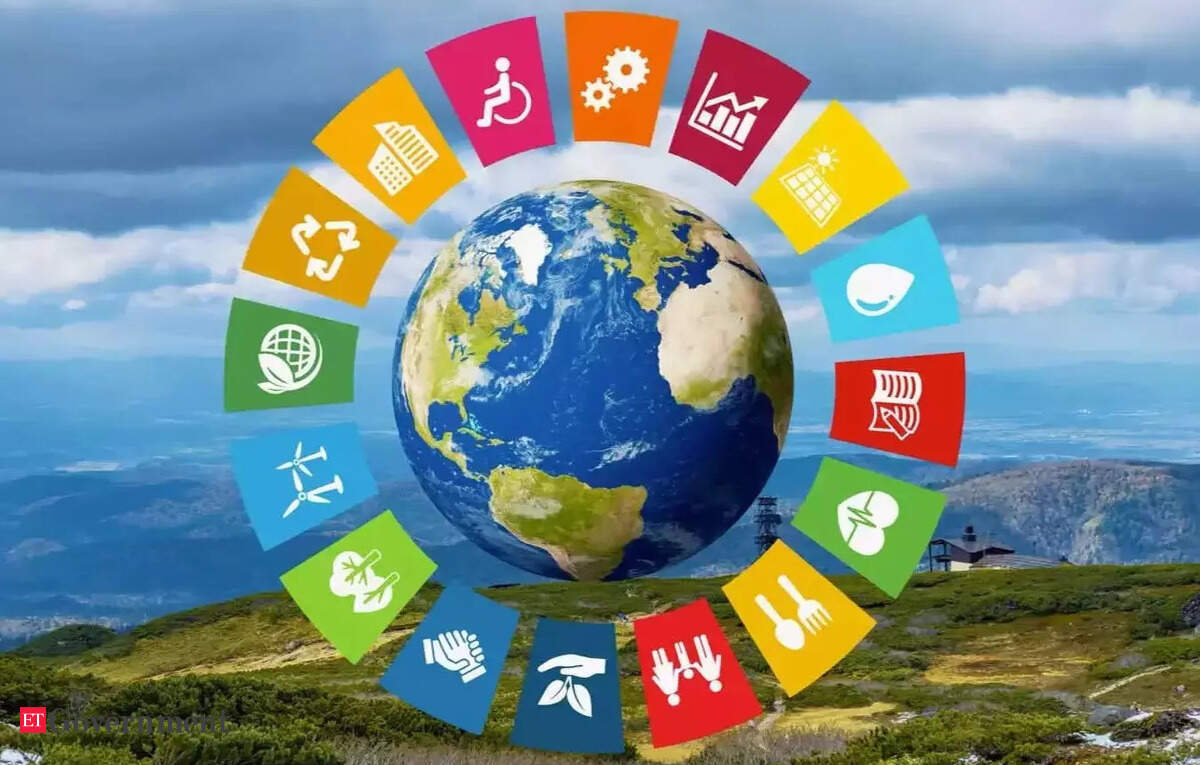 Beyond charity: Sustainability and inclusion for competitive advantage ...