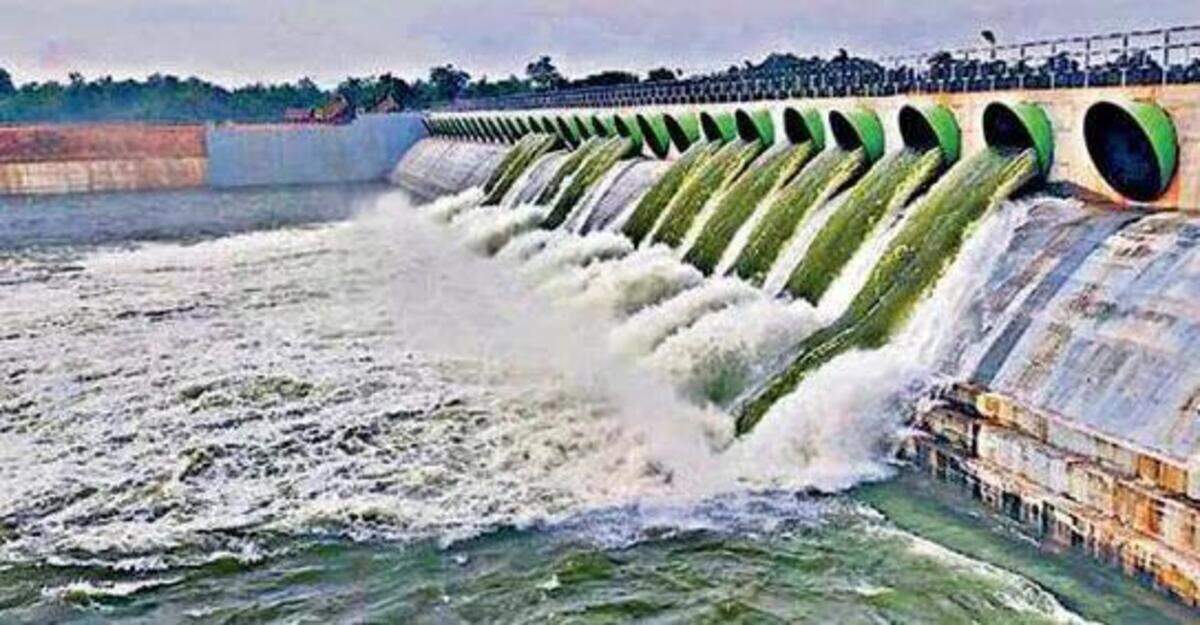 Madhya Pradesh dam project could submerge critical tiger corridor: NTCA ...