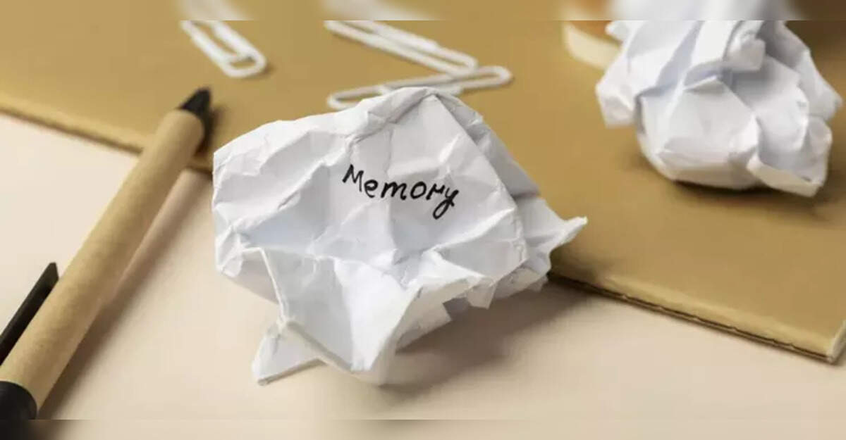 Researchers discover new type of Brain cells that allow you to remember ...