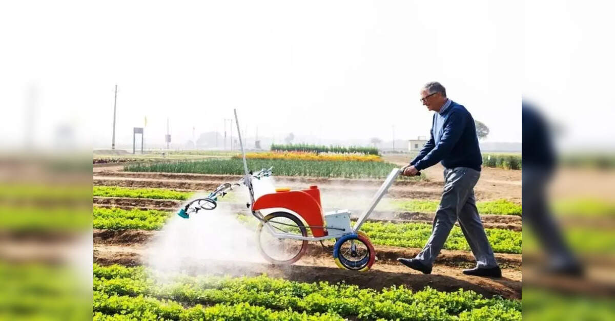 Worried that AI will take your job? Bill Gates reveals why these jobs ...