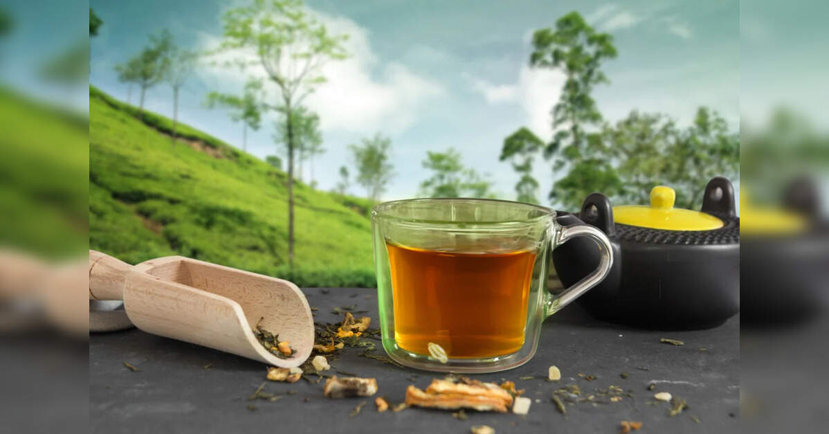 Tea Leaves: Rain shortfall may impact tea production in Dharamshala; Met predicts more heat ...