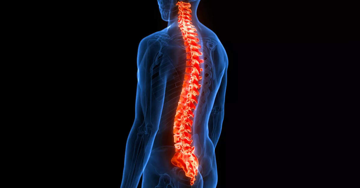 World's first human spinal cord implant to take place in Israel ...