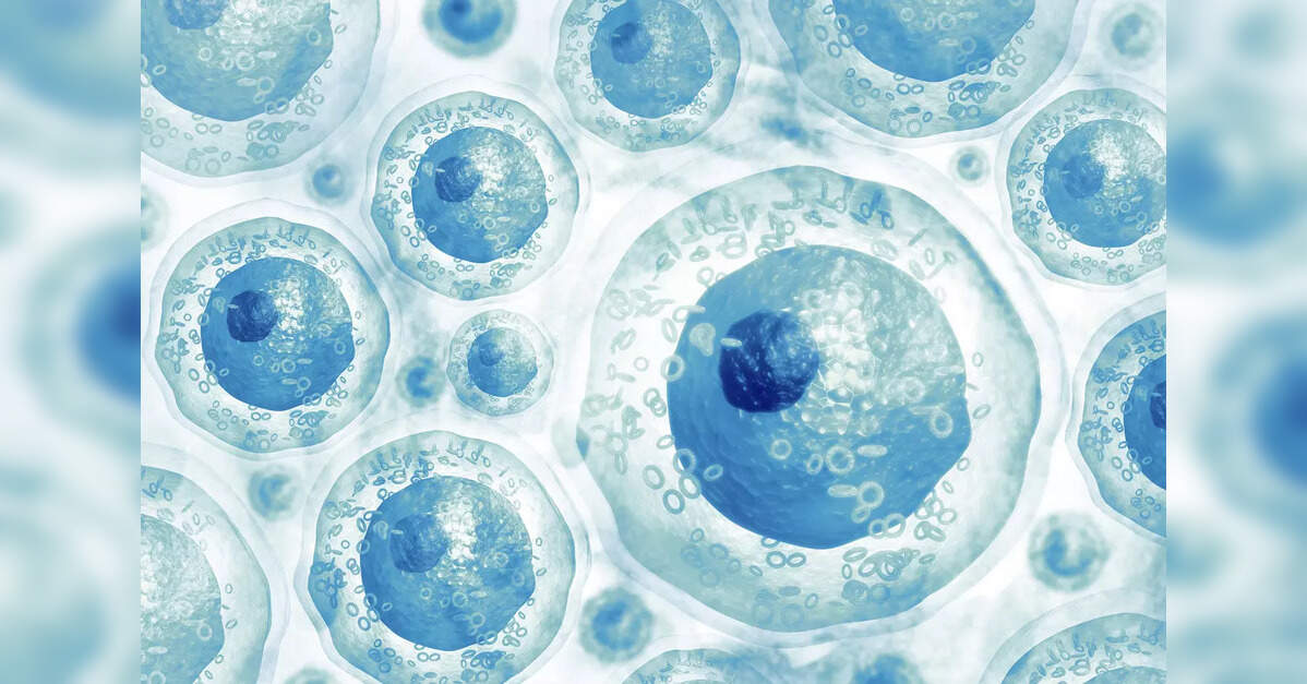 Spaceflight Aging Blood-forming Stem Cells: Space Travel Accelerates ...