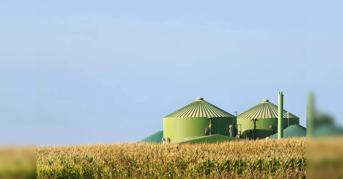 CNG Plant: Ghogha plant to generate four tonne CNG daily, ETManufacturing