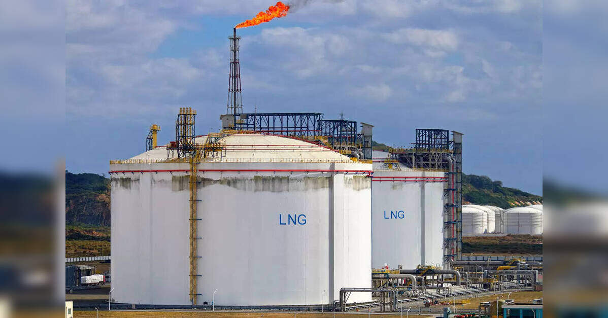 US LNG Exports: US sets new LNG export records in banner year marked by new capacity, ETEnergyworld