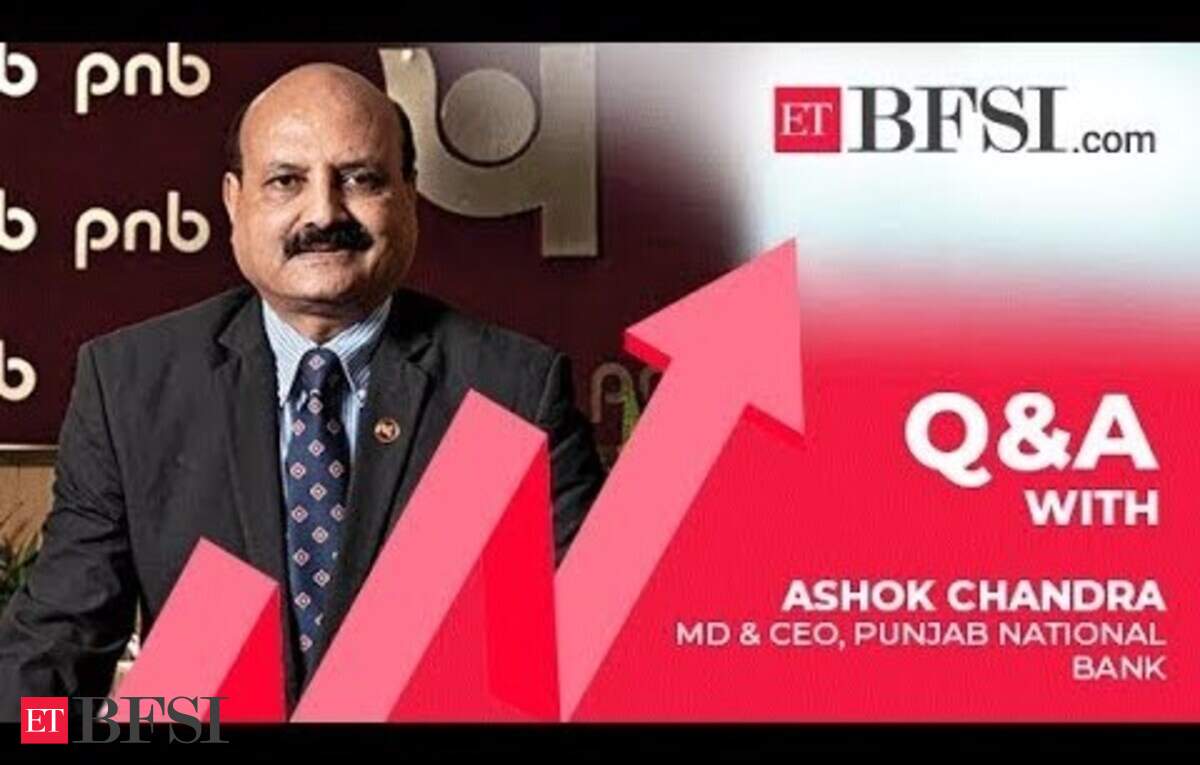 PNB targets Rs 48 lakh crore business by 2030, working towards global ...