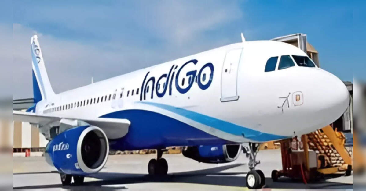 Escape Plan Series A Funding: Escape Plan Secures $25 Million Series A Funding Led by Jungle ...