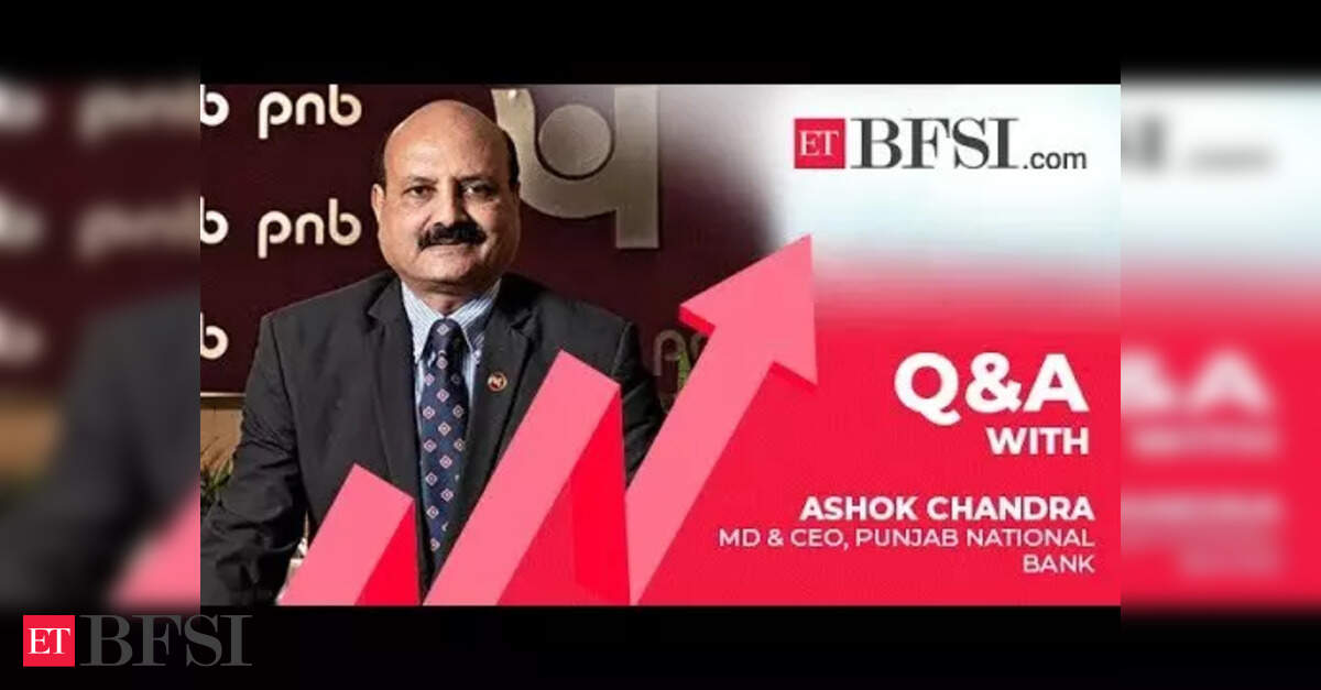 PNB Aims for 10 Lakh Credit Card Issuance by FY26 with Premium ...