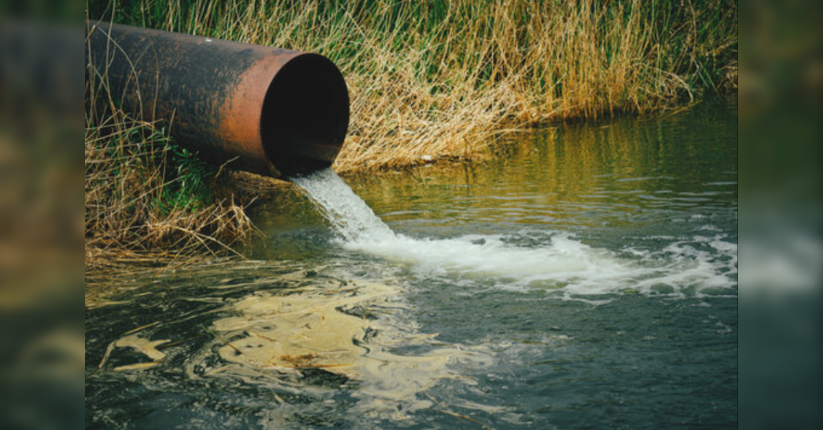 NGT orders DJB–Dusib coordination to stop sewage flow into Barapullah ...