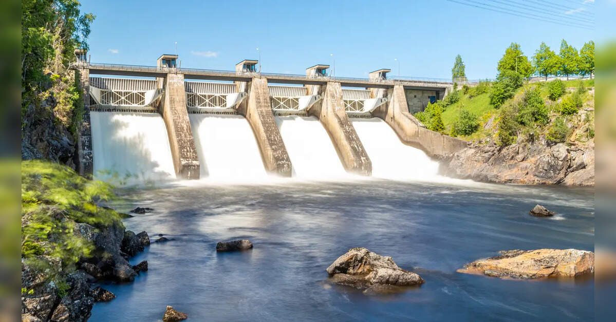 NHPC OFS Oversubscribed 3.47 Times; Government to Exercise Full Green ...