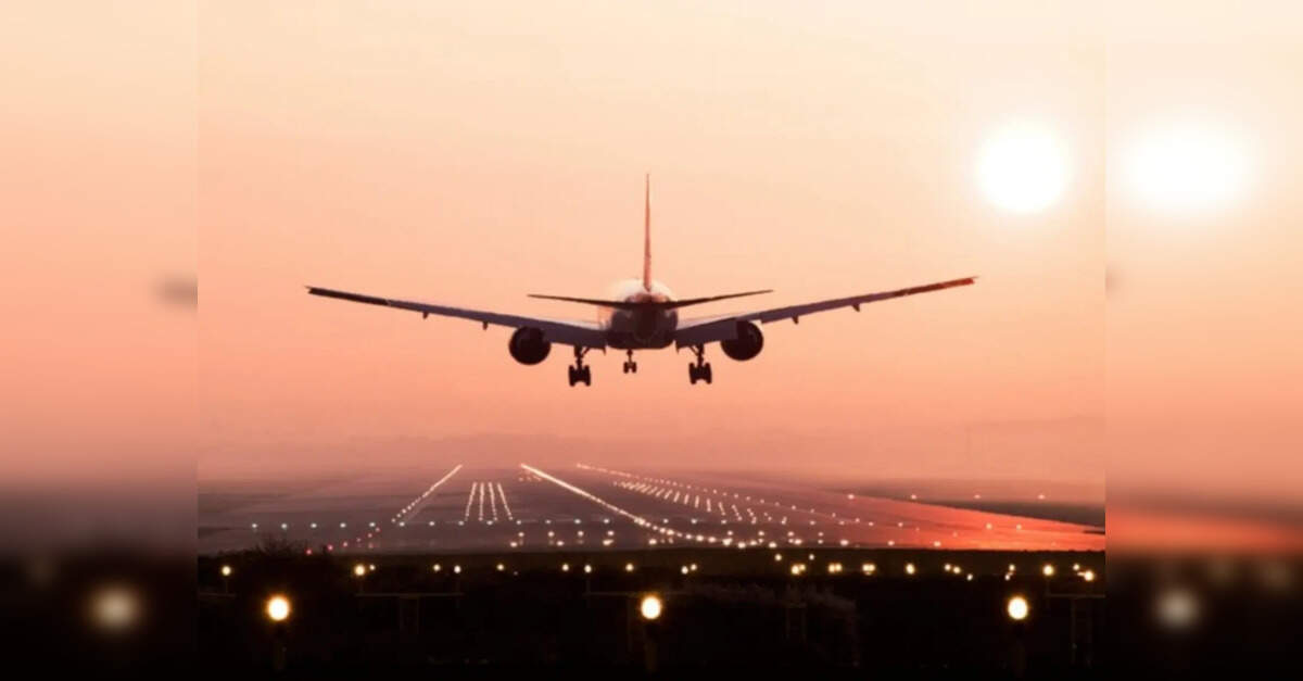 Higher airfares can price out people from flying: IATA Chief Economist ...