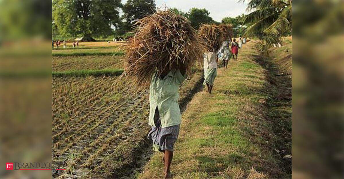 Parakh Agro awards creative mandate to Grey India, ETBrandEquity