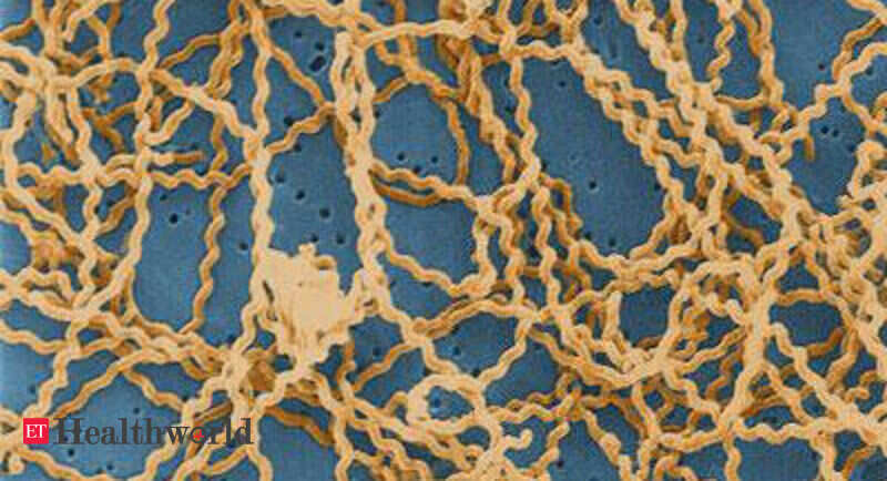 Chennai : 8 die of Weil’s disease, severe form of lepto, in 3 weeks ...