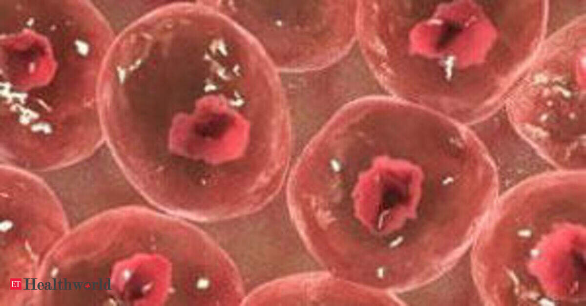 New subgroups of ILC immune cells discovered through single-cell RNA ...