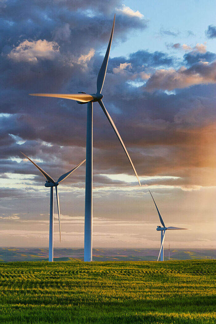 Suzlon inaugurates blade manufacturing facility in Madhya Pradesh ...