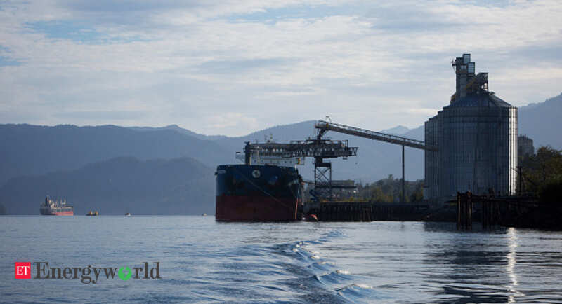 Swan Energy: Swan Energy gets nod for Rs 5,600-crore floating LNG terminal, Energy News, ET ...