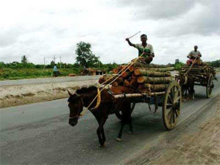 Rural Roads Development: Indian govt hopeful of meeting rural roads ...