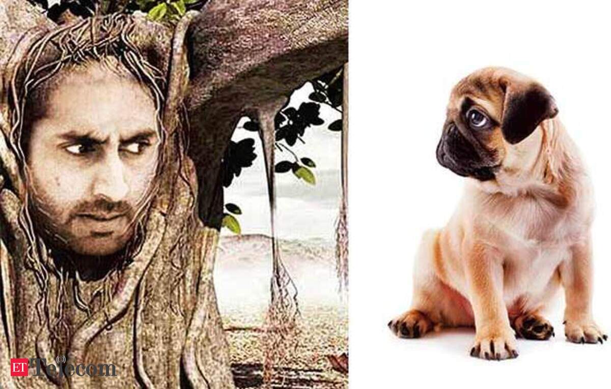 The best ads from Vodafone and Idea Cellular: From Zoozoo to 'What and ...