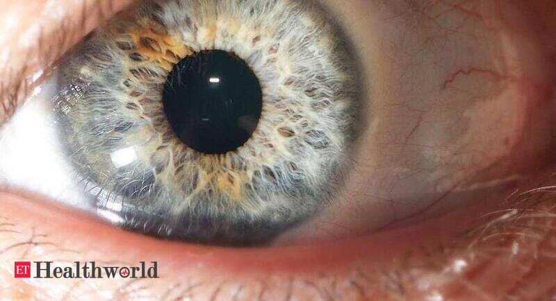 L V Prasad Eye Institute develops the first Holo Eye Anatomy, Health ...