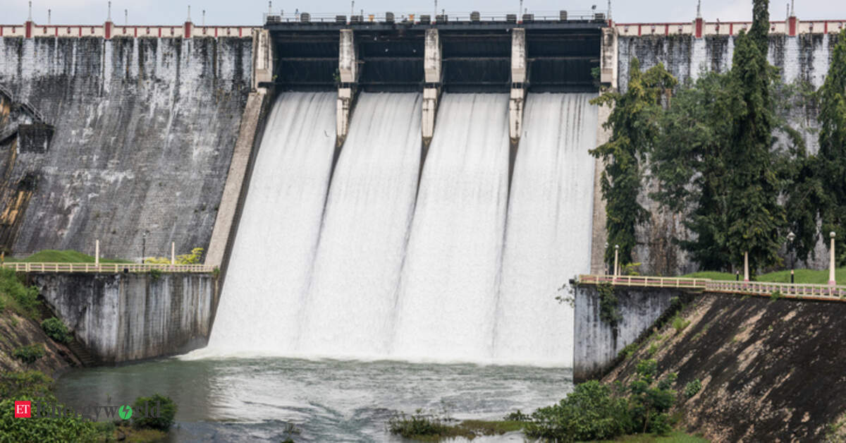 First power plant under PM Ladakh scheme commissioned in Drass, Energy ...