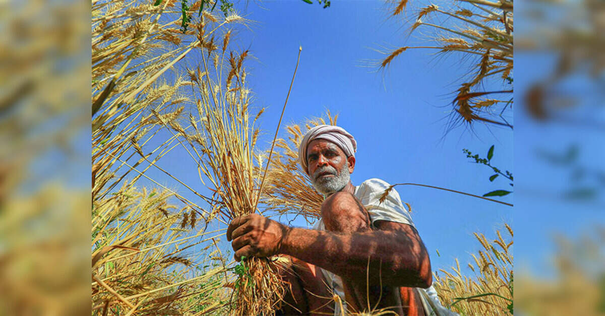 Climate change could raise food shortage globally: Univ of Exeter study ...