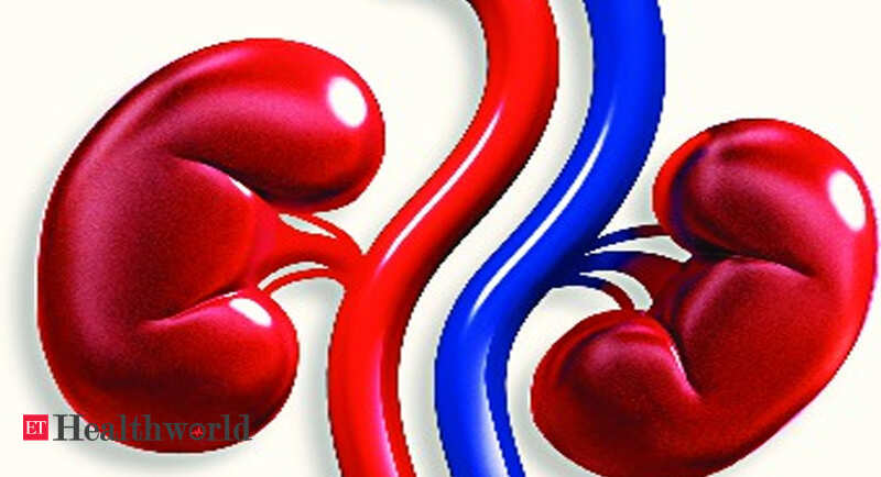 Delhi woman undergoes third kidney transplant, Health News, ET HealthWorld