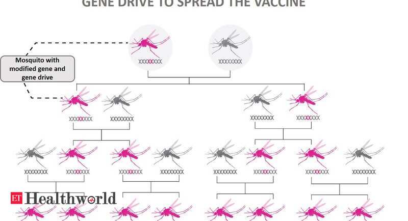 Disarming mosquitoes as malaria vectors, Health News, ET HealthWorld