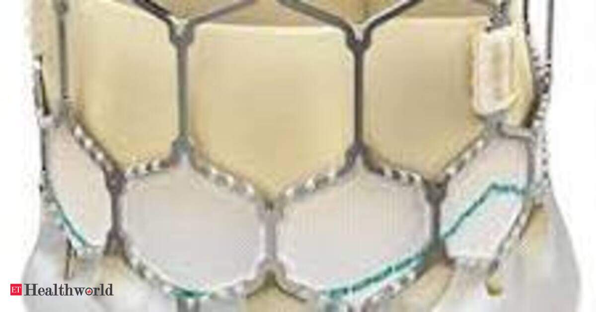 Meril’s Myval Transcatheter Heart Valve receives CE approval, Health ...