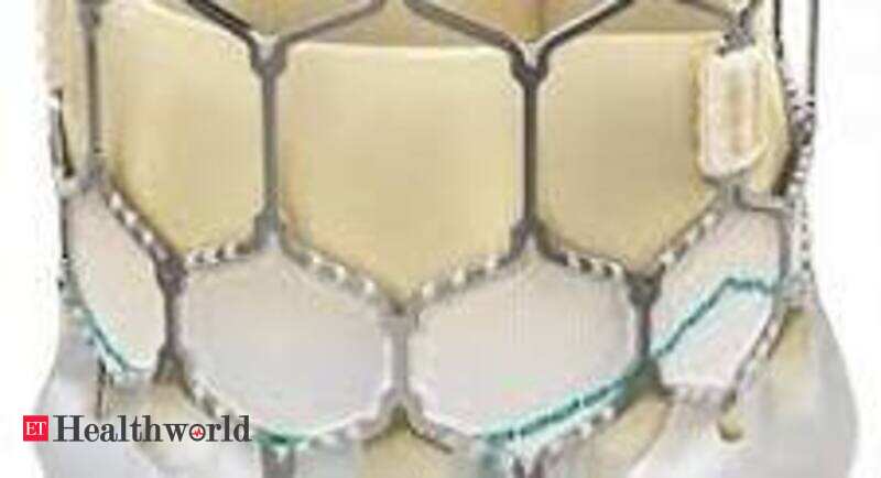 Meril’s Myval Transcatheter Heart Valve receives CE approval, Health ...