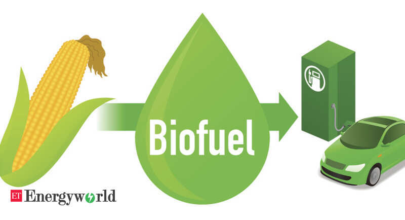 Biofuels: INNOVATION: New low-cost method to turn plant waste into ...