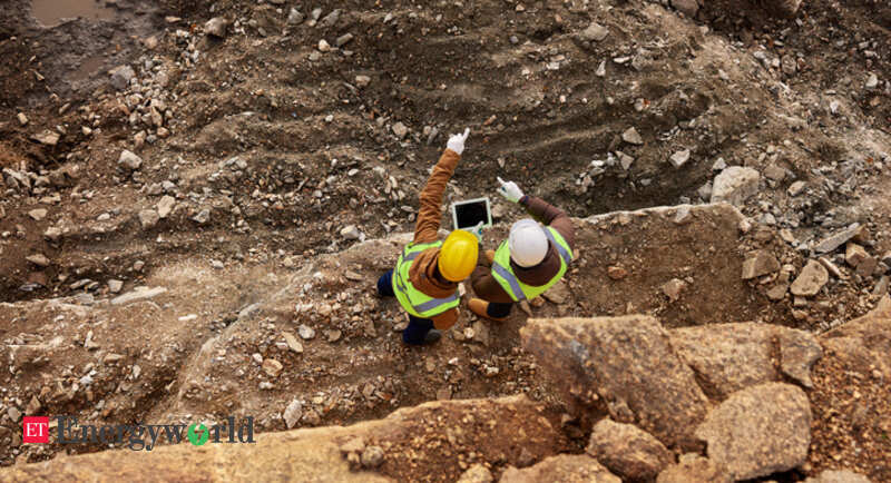 NLC India mines in Tamil Nadu resume operations amid lockdown, Energy ...