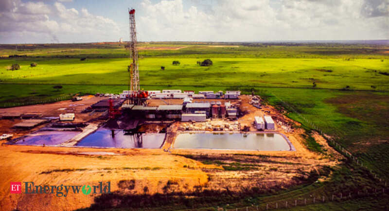 Newpek: Mexico's Alfa says its Newpek unit has sold all its Texas shale ...