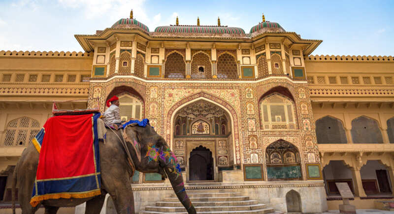 Mahouts elated as Rajasthan permits elephant rides in Jaipur's Amer ...