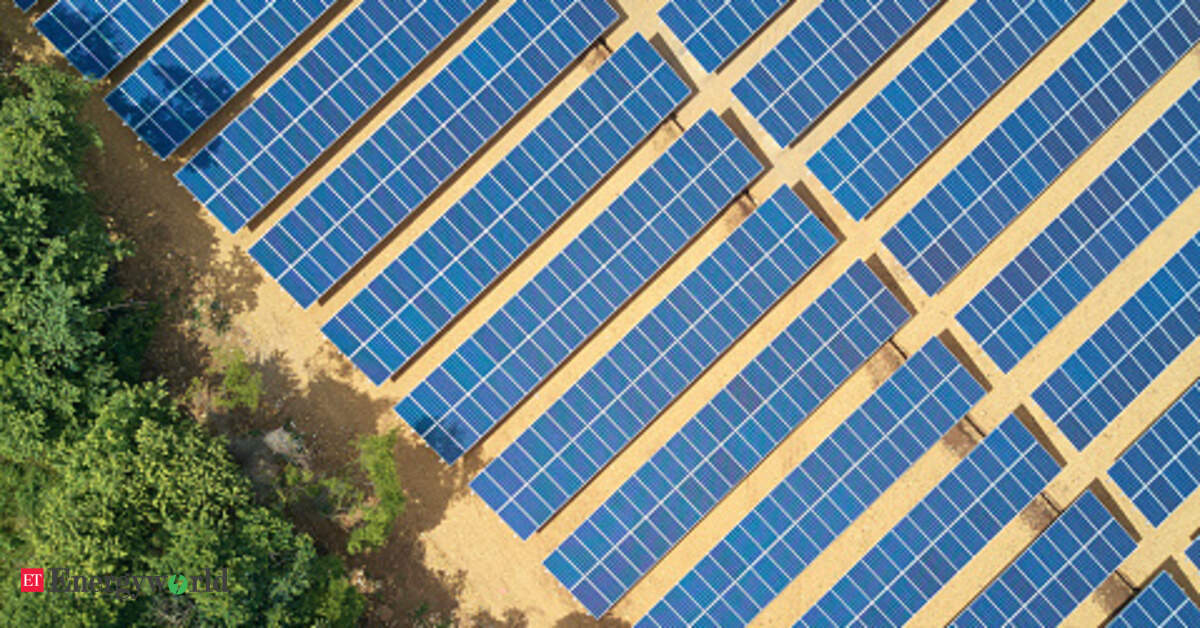 U.S. solar industry surges despite pandemic fallout, study finds ...