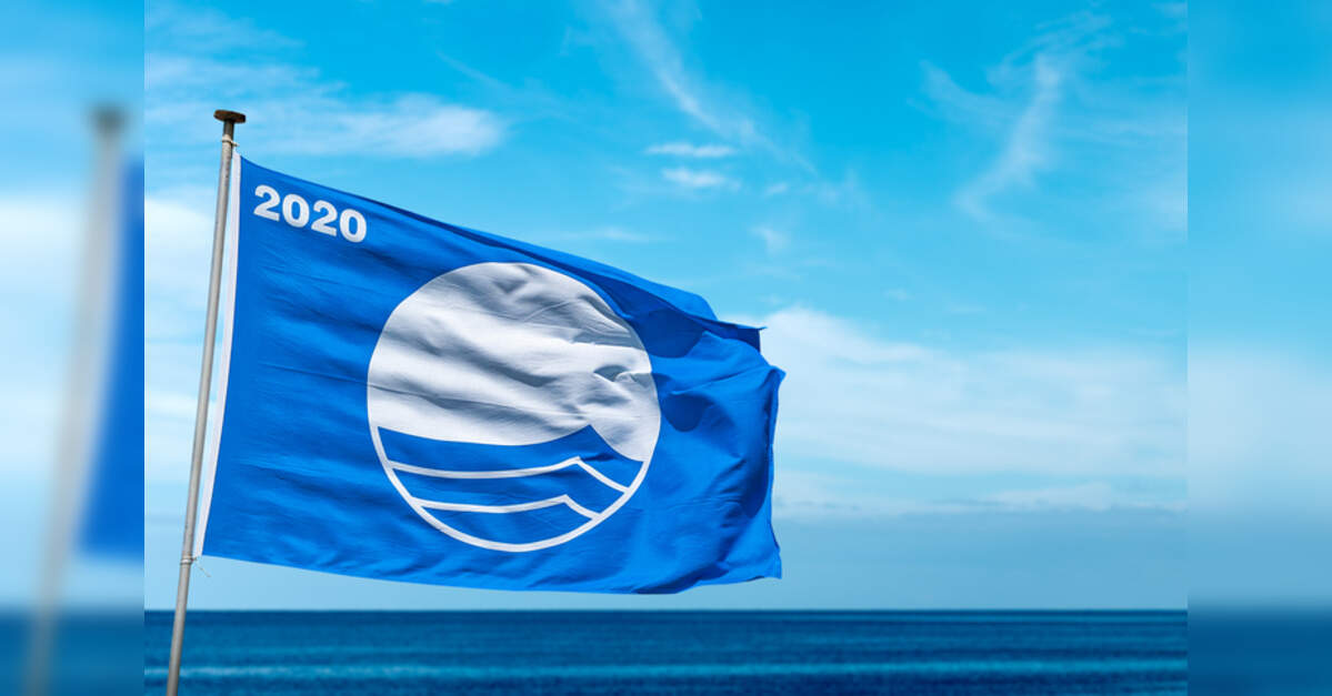 AP seeks environment ministry support for Blue Flag certification for 9 ...