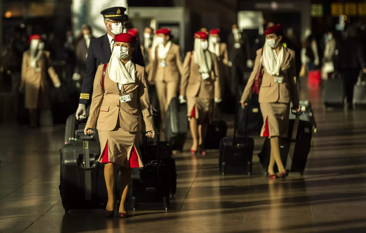 Aviation Job Loss: IATA offers free training to former cabin crew ...