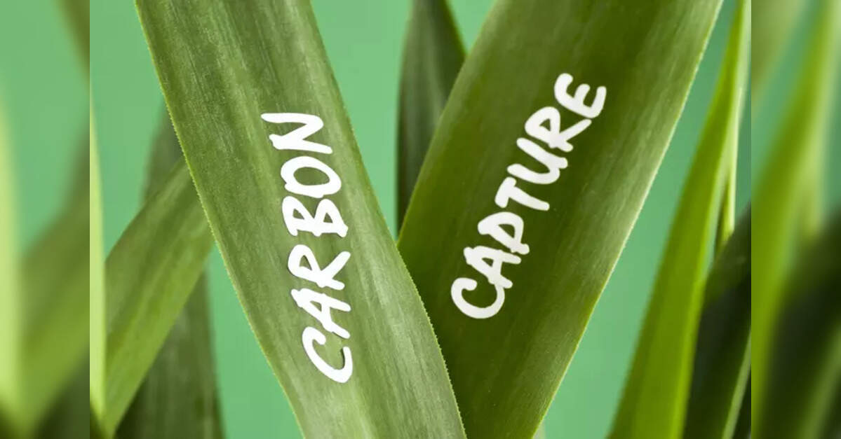 Peter Styring: How soon could carbon capture technology solve industry ...