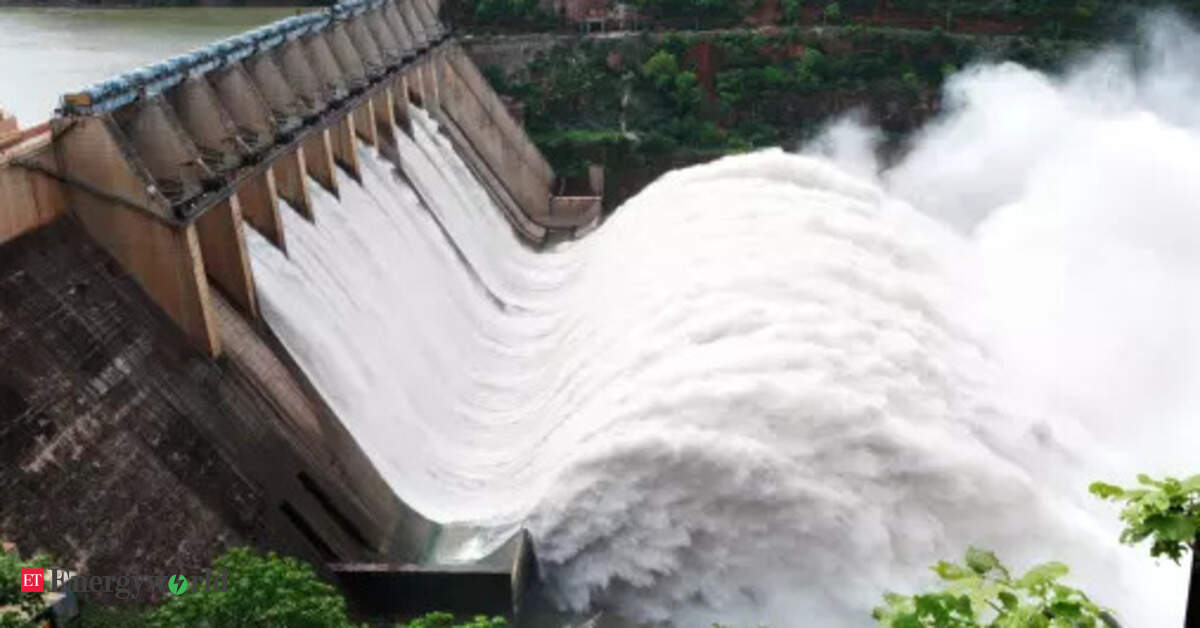 Dibang: NHPC's 2,880 Dibang hydropower project expected to begin in Apr ...